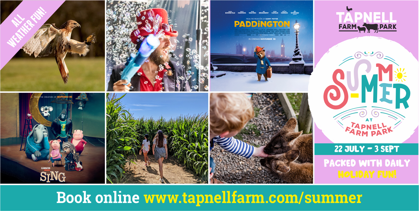 Summer in the Farm Park | Tapnell Farm Isle of Wight