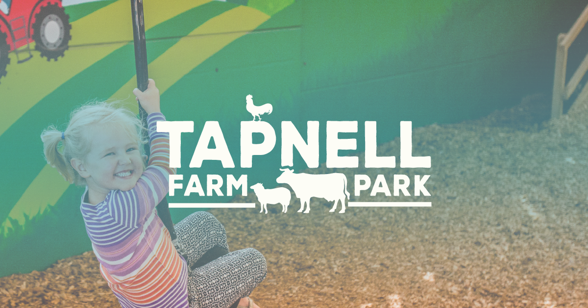 All Weather Isle of Wight Family Attraction - Tapnell Farm Park ...