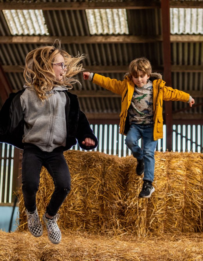 Prices & Opening | Tapnell Farm Isle of Wight